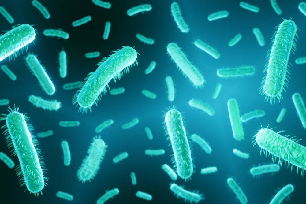 Les secrets méconnus du microbiote - Greenweez magazine