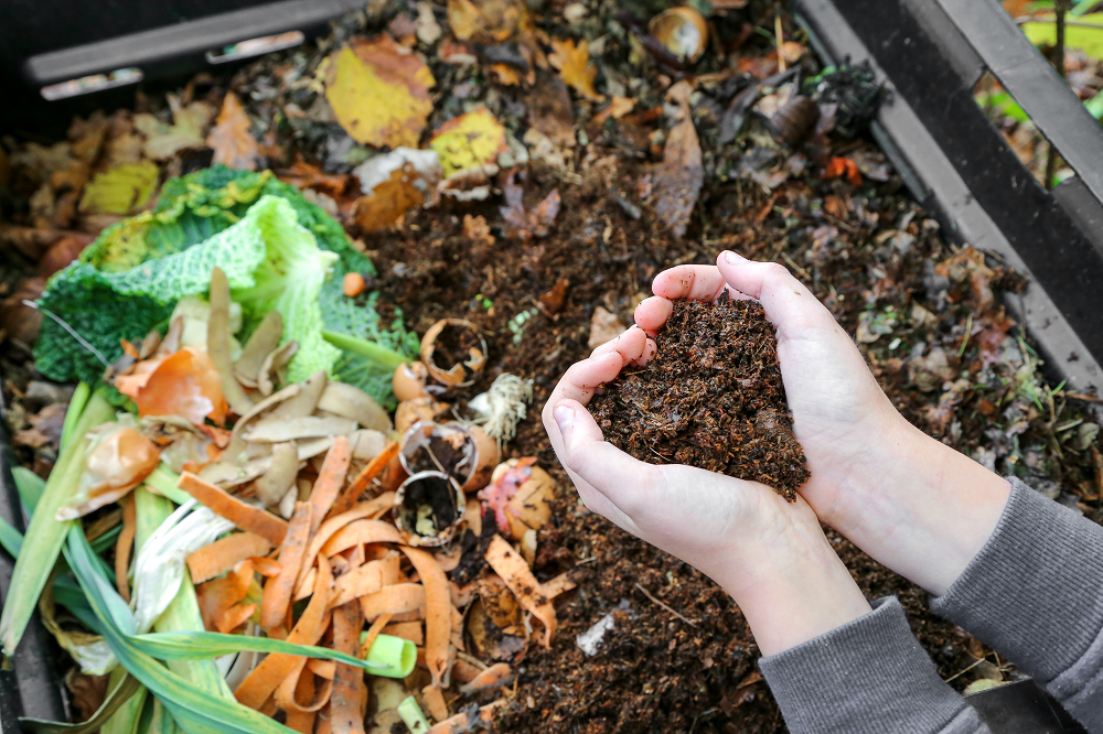 Les avantages économiques et environnementaux du compost